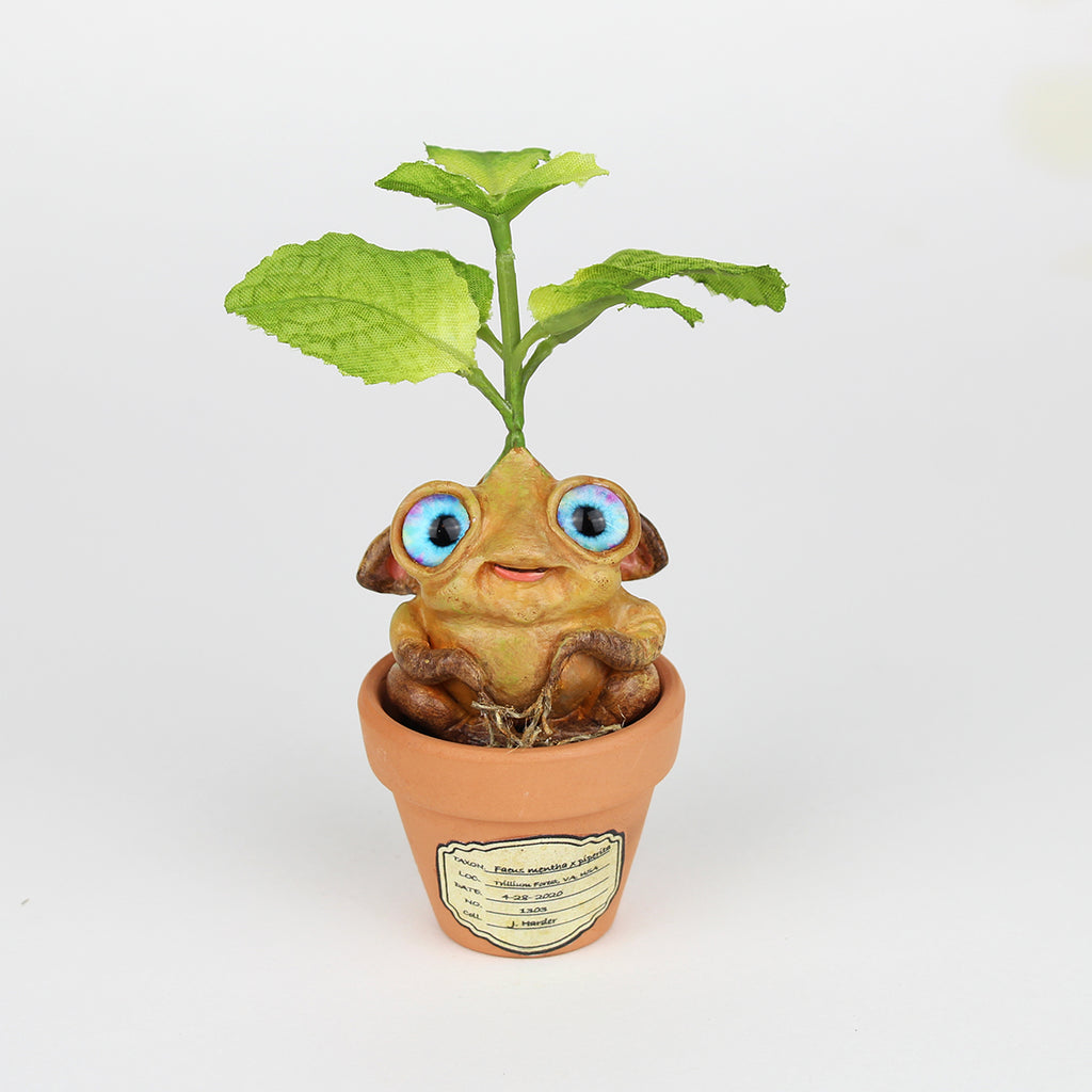 Peppin the Peppermint Seedling – Jackie Harder Art